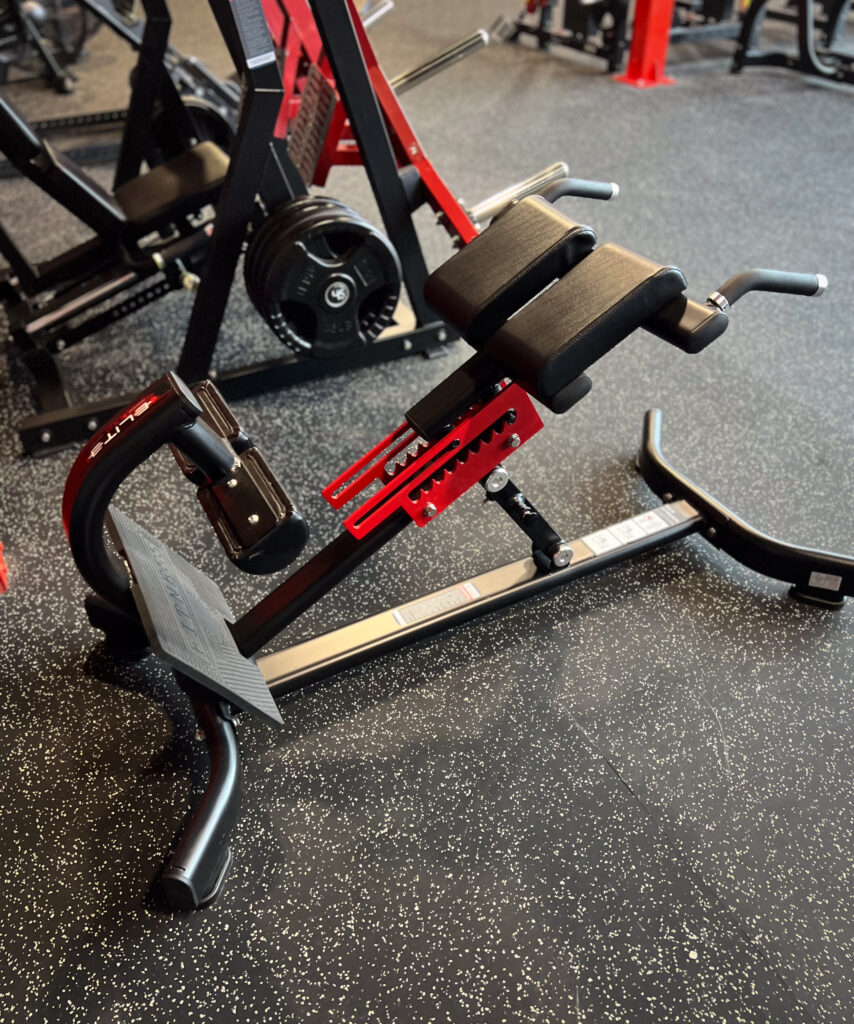 TN Roman Chair - Elite Pro Fitness
