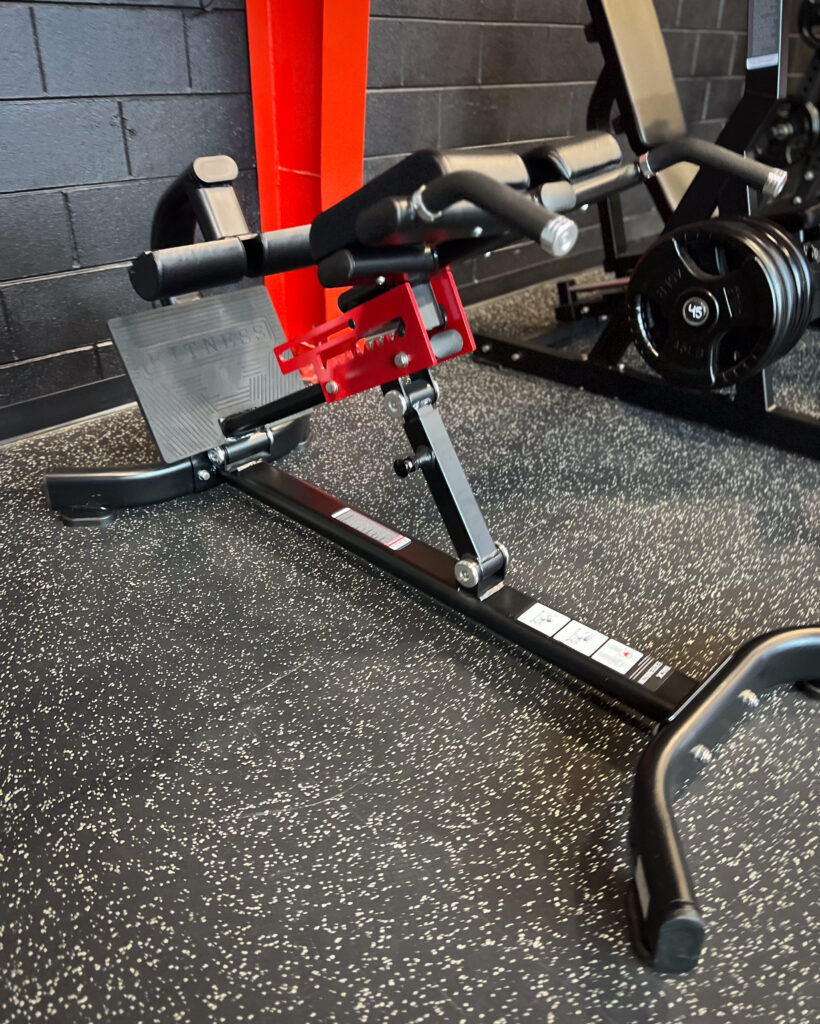 TN Roman Chair - Elite Pro Fitness