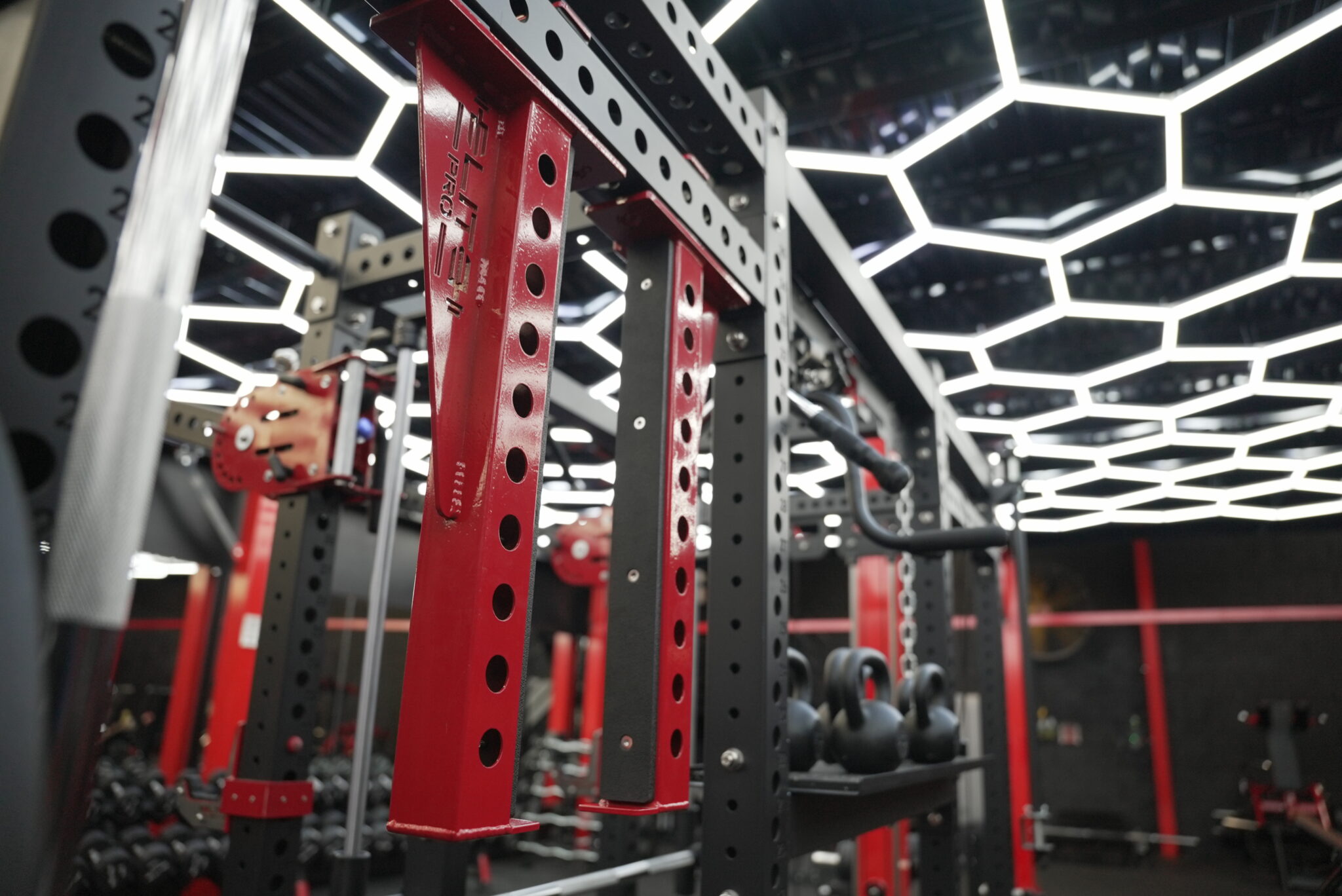 Elite Pro Fitness FTS2 Power Rack Bundle - Buy Now!