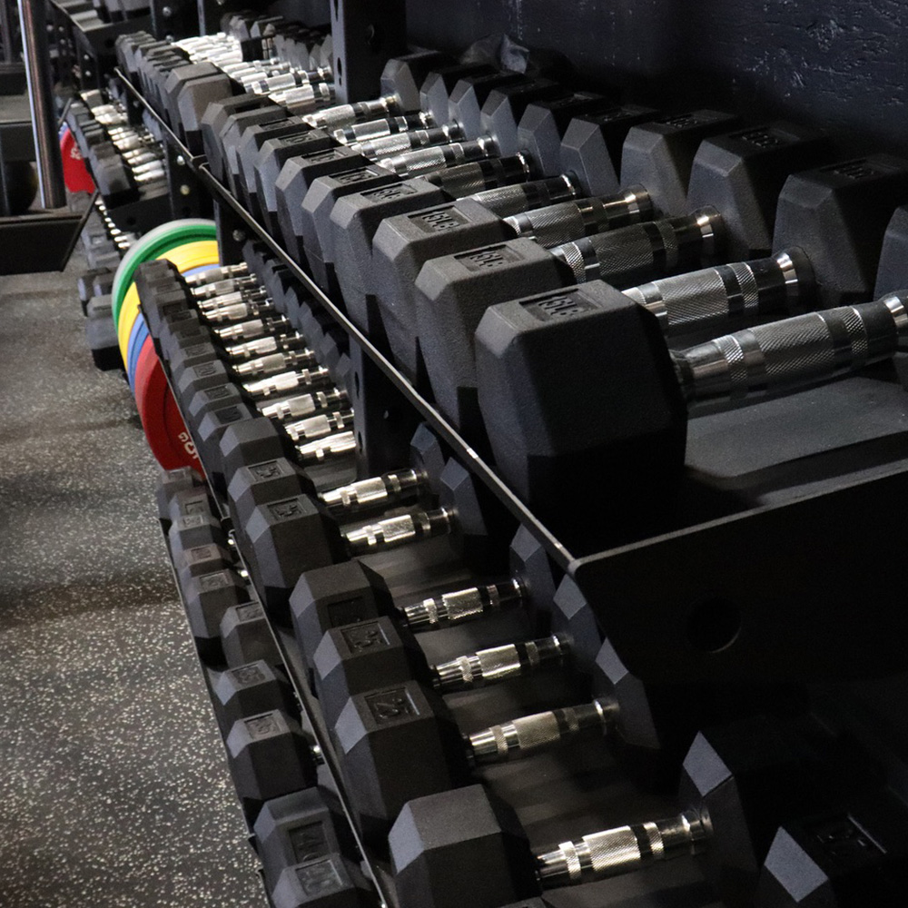 Commercial Gym Equipment - Elite Pro Fitness
