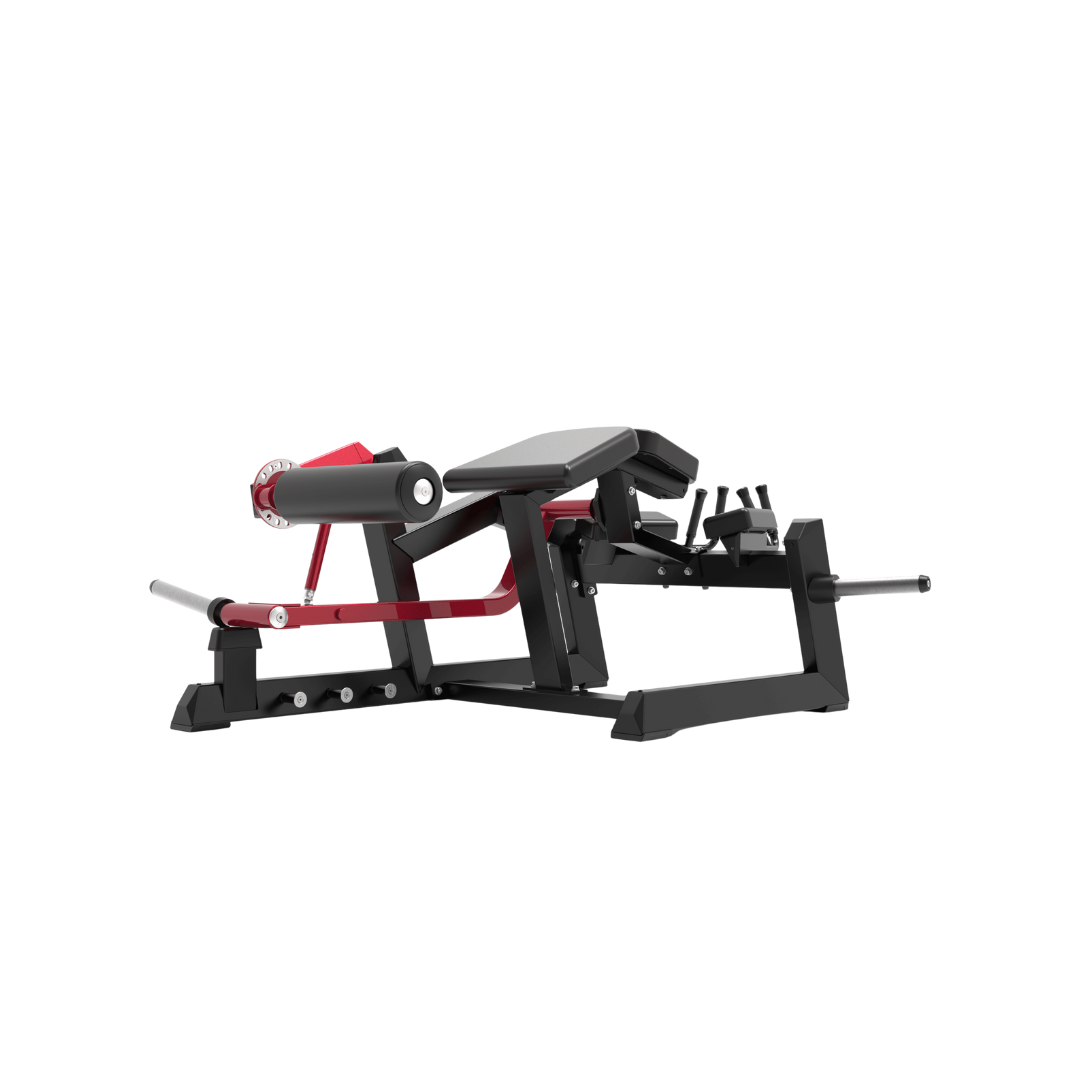 Evolve Line Prone Leg Curl - Elite Pro Fitness